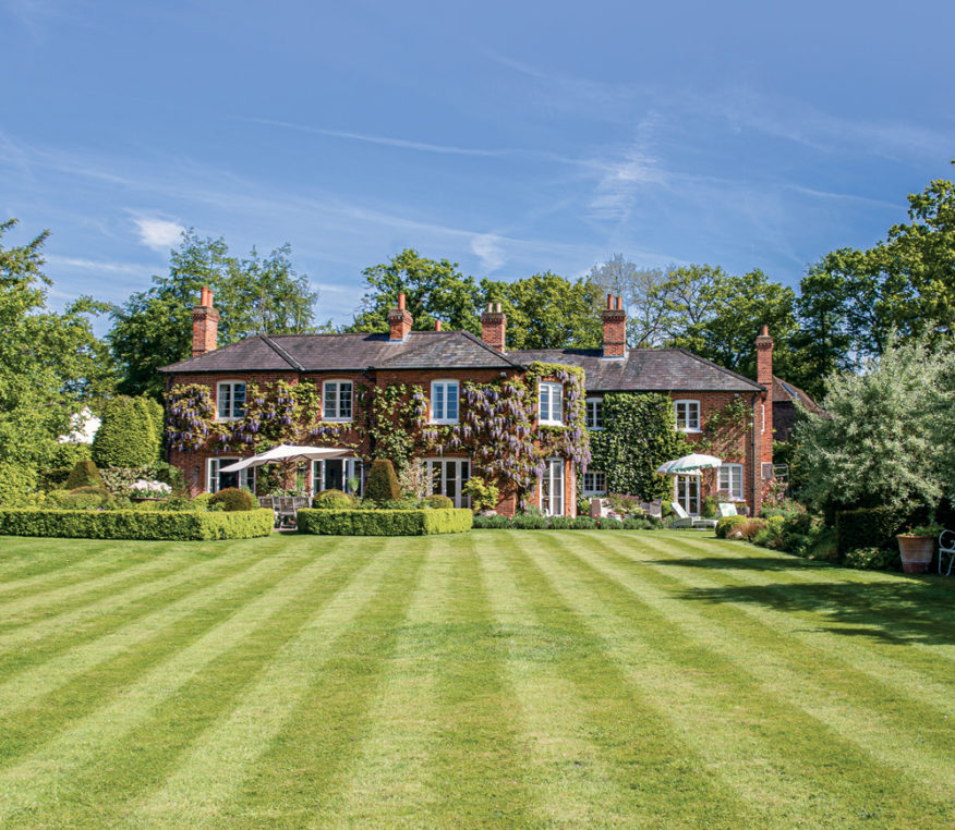 At Home With Interior Designer Susie Atkinson and Her Golden Cocker ...