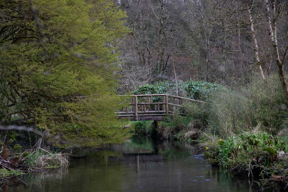 5 Gorgeous Gardens in Ireland To Visit Over Easter - The Gloss Magazine