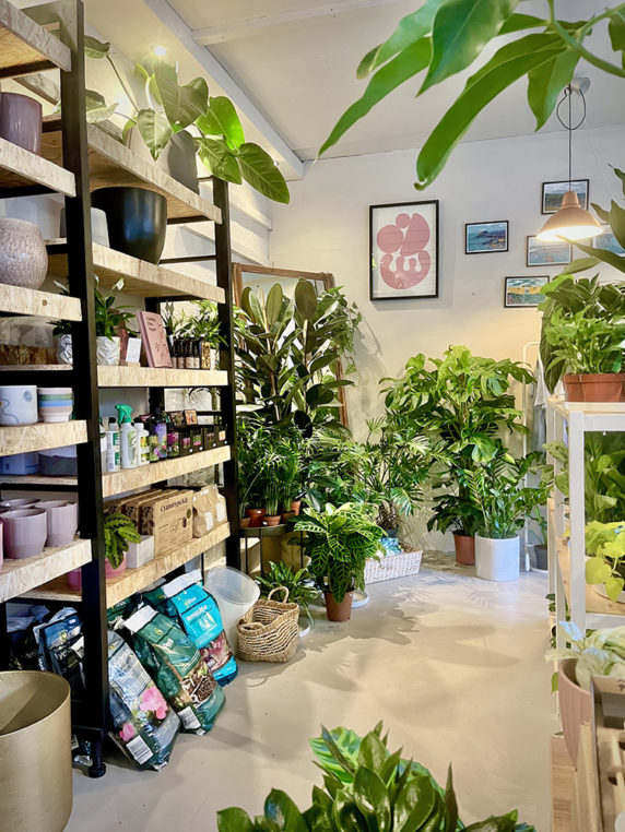 Discover The Best Plant and Garden Shops Around Ireland - The Gloss ...