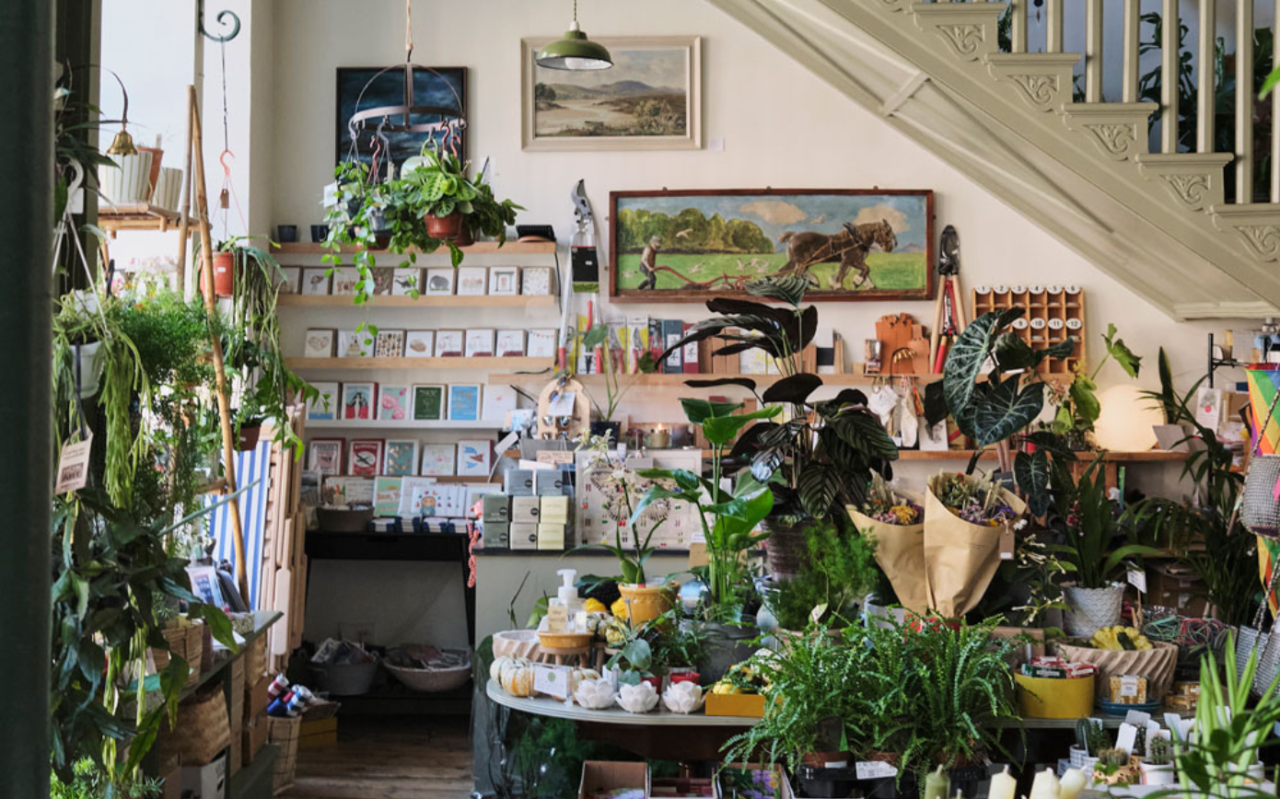 Discover The Best Plant and Garden Shops Around Ireland - The Gloss ...