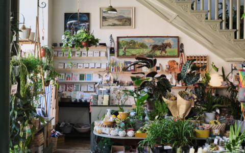 Discover The Best Plant and Garden Shops Around Ireland - The Gloss ...