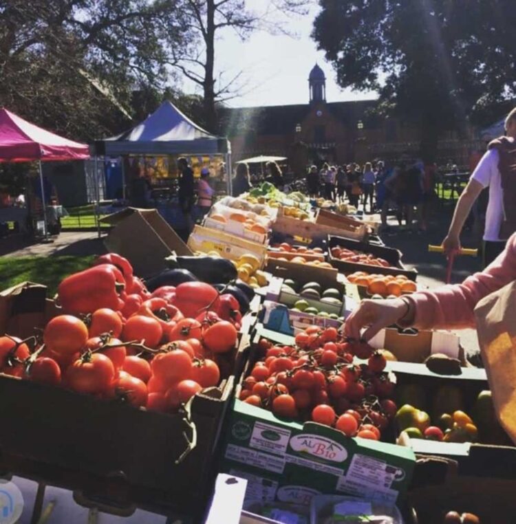 5 Outdoor Food Markets To Visit This Weekend - The Gloss Magazine