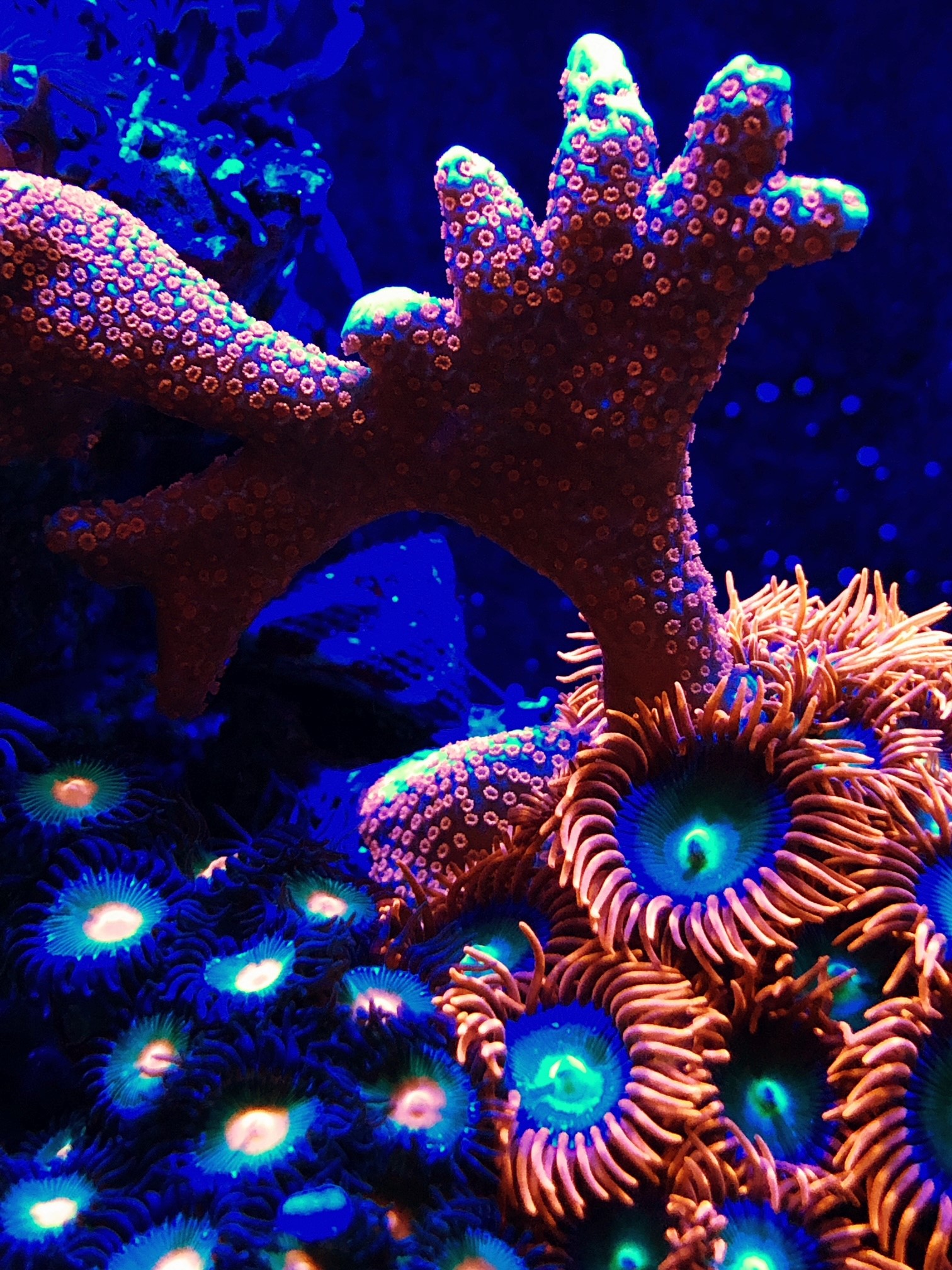 Proper Fun At This Brilliant Family Festival - The Gloss Magazine