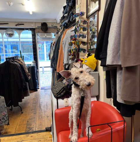 Our Guide To The Best Vintage Clothes Shops In Dublin - The Gloss Magazine