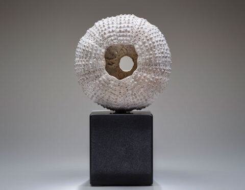 Rachel-Joynt,-Wonder,-bronze-&-black-granite,-47-x-27-x-21cm,-edition ...