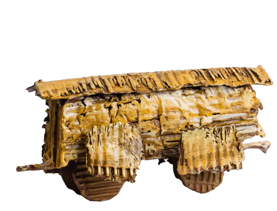 Tim-Morris - The Gloss Magazine